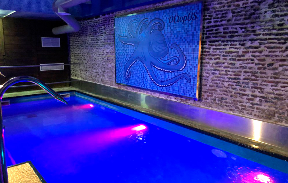 Sauna OCTOPUS, la sauna de OSOS de Madrid 🐻 saunagayeuropa.com